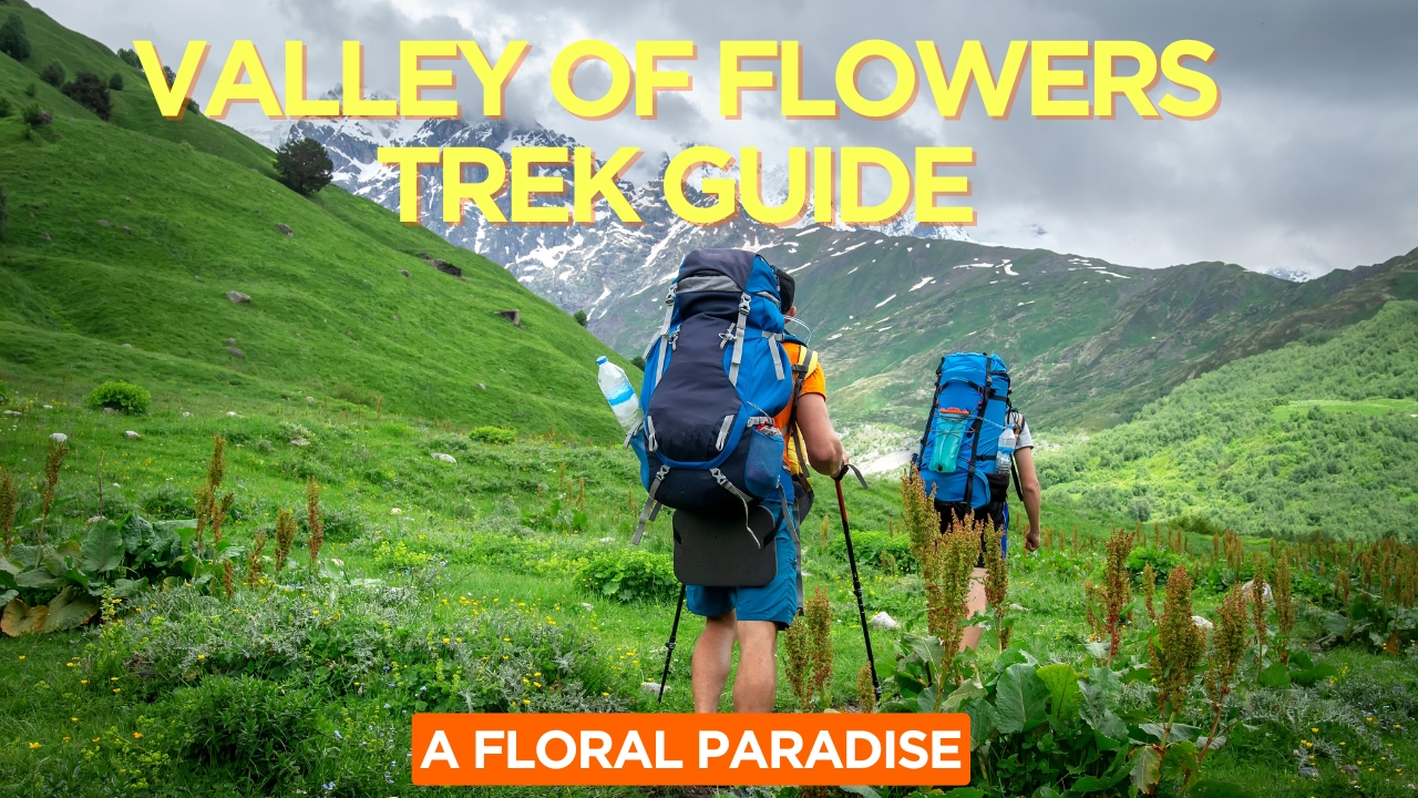 Best Valley of Flowers Trek Guide To Uttarakhand Flowers Haven ...